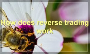 Reverse Trading: Everything You Need To Know - MoneyReadme.com