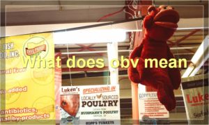 “Obv: What It Is, What It Means, How To Use It” - MoneyReadme.com