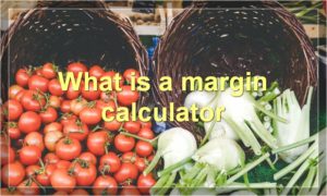 Zerodha Margin Calculator: The Basics - MoneyReadme.com